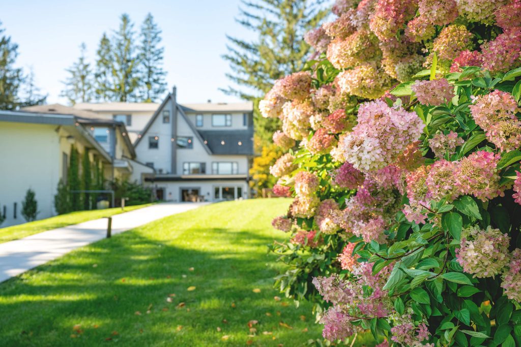 About Us - Callicoon Hills